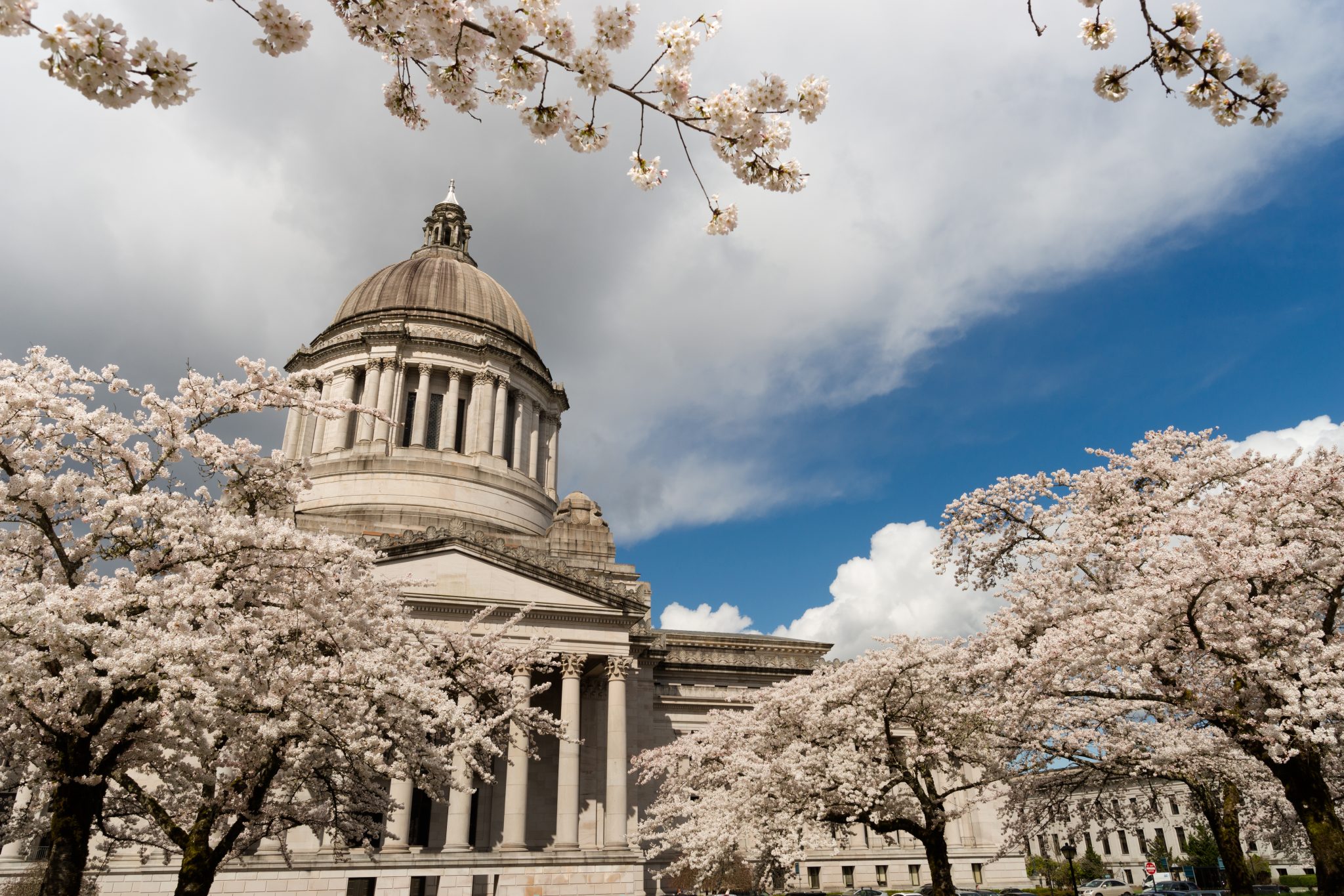 Washington State FMLA: What Employees Need to Know